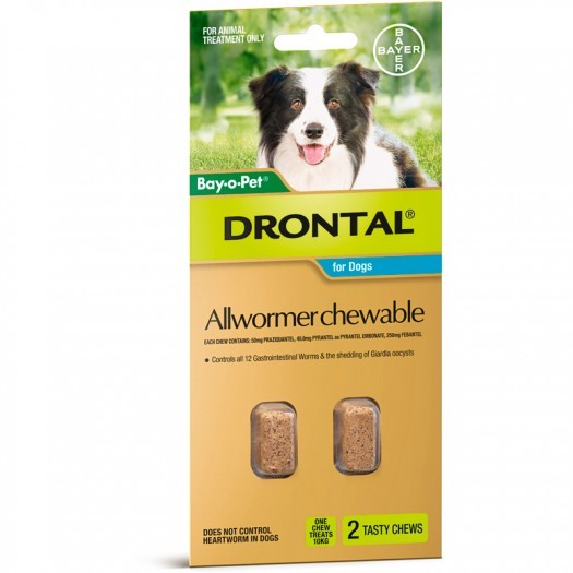 Drontal Allwormer Chewable Dog 10kg-35kg - Swanbourne Vet Centre